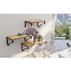 USBTESTE Floating Shelves Wall Mounted Set of 3,Wall Decor, Shelves for Wall Storage ,Kitchen, Bedroom, Bathroom, Living Room, Light Walnut