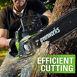 Greenworks 16-Inch Chainsaw Chain 2904402