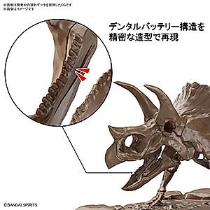 Bandai Hobby - 1/32 Imaginary Skeleton Triceratops