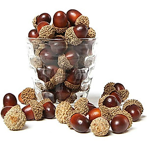 MyGift 100 Pieces Brown Assorted Artificial Acorn Caps, Autumn Vase Filler Decorations