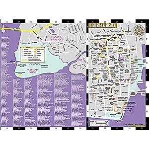 Streetwise Charleston Map - Laminated City Center Street Map of Charleston, South Carolina (Michelin Streetwise Maps)