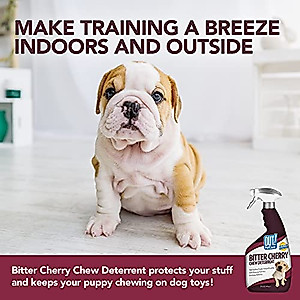 OUT! PetCare Bitter Cherry Chew Deterrent | Deterrent for Puppy Training to Discourage Licking and Chewing | 32 oz
