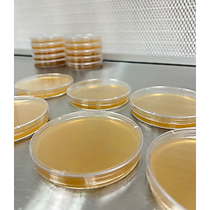 Olympus Myco Malt Yeast Extract Agar Plates (MYA) - 10 Sterile Prepoured Petri Dishes for Mushroom Cultivation & Science Projects - Now with Improved Packaging