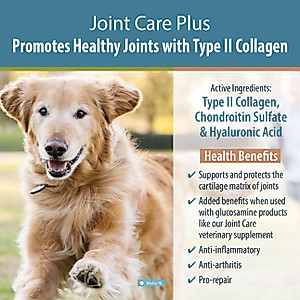 JustFoodForDogs Joint Care Plus, Dog Joint Supplement, Type II Collagen & Chondroitin Sulfate - 60 Count