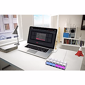 BTXETUEL Newhui 12 Key Mechanical Gaming Keyboard One Handed Keypad USB-C Wired OSU Keypad Programmable and Hot Swappable Keyboard.