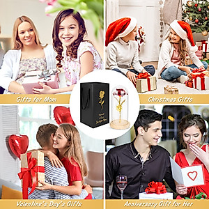 Klysimath Beauty and The Beast Rose, Red Rose Gifts for Women, Forever Rose in Glass Dome, Enchanted Rose Romantic Gifts for Her, Girlfriend, Wife, Mom, Valentine's Day, Mother's Day