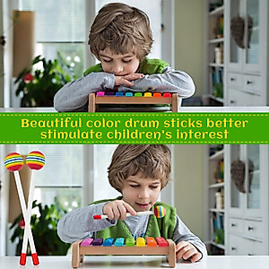 12 Pcs Lollipop Drum Mallet Sticks Round Rainbow Hammer Percussion Sticks Plastic Drumsticks for Kids Child Mallet Musical Toy Mallet Hand Foam Hammer Toy for Adults Musical Instrument Accessories