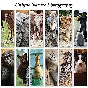 JBH Creations Baby Animal Bookmarks - Pack of 48