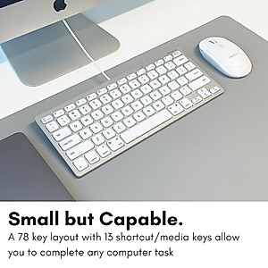 Macally Small USB C Keyboard - Plug & Play Compatible Wired Apple Keyboard for Mac Mini, MacBook Pro/Air, iMac, iPad, Windows, Chromebook with USBC Port - Compact & Mini USB Type C Keyboard - Silver