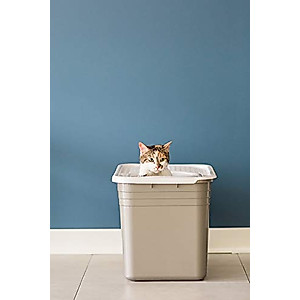 Petmate Top Entry Litter Cat Litter Box With Filter Lid To Clean Paws