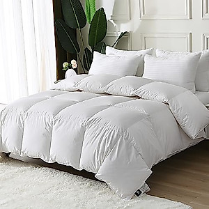 BPC Queen Size Down Comforter - Goose Duck All Season Down Comforter with Filling Down and Feather and Cotton Cover - Duvet Insert or Stand-Alone Down Comforter