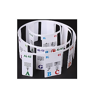 BMESSE The Alternative To Messy Piano Keyboard Stickers,No Glue,Easy Integral Installation With a Case (61)