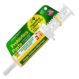 Intesto Guard Probiotics Paste 60ML/60cc Tube for Dogs & Cats Helps with Dog Diarrhea, Immune Supplements, with IgY antibodies & Made in USA