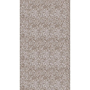 Westinghouse Lighting 6351000 North Shore One-Light Indoor, Weathered Steel Finish with Clear Seeded Glass Wall Fixture