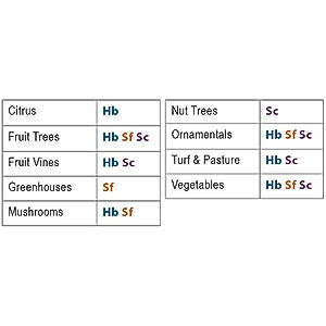 Natures Good Guys Beneficial nematodes Heterorhabditis bacteriophora 5 Million