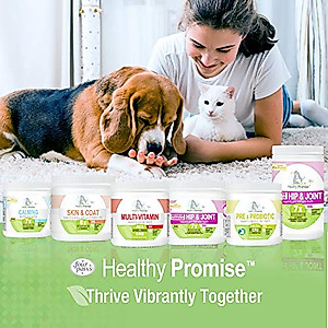Four Paws Healthy Promise Advanced Formula Hip & Joint Supplement for Dogs Soft Chews 48 Count