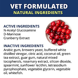 Under the Weather Pet Urinary Tract Support Soft Chews for Cats, 60 Bite Size Soft Chew Cat Supplements | Promotes Normal Ph Balance & Healthy Urinary Function for Cats