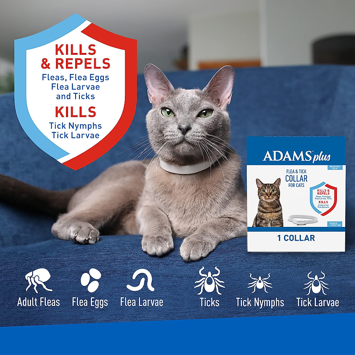 Adams Plus Flea & Tick Collar for Cats | Breakaway Collar | 1 White Collar | 7- Month Protection | Kills & Repels Fleas, Flea Eggs, Flea Larvae and Kills Ticks, Tick Nymphs, and Tick Larvae