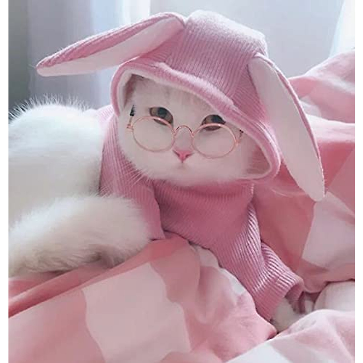 Funny Cat Sunglasses Dog Glasses Metal Retro Circular Glasses Puppy Pet Eyewear for Cosplay Costume Photos Props Pet Accessory Halloween Christmas