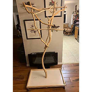 Exoticdad Parrot Stand - Reptile Birds Perches For Parrots - Wood Perches Stand For Parrot - Uniquely Sanded ,Custom Made Designed For Parrots, Cockatoo, Parakeets- 2ft x 3ft Base and 5.5-6ft Height