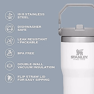 Stanley IceFlow Stainless Steel Tumbler with Straw - Vacuum Insulated Water Bottle for Home, Office or Car - Reusable Cup with Straw Leak Resistant Flip - Cold for 12 Hours or Iced for 2 Days (Polar)