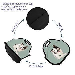 Personalized Pet Lunch Bag, Custom Pet Lunchbag, Custom Insulated Neoprene Lunch Bag, Customizable Pet Photo Lunch Tote with Zipper, Cute Funny Reusable Lunch Box Containe for Adults, Pet Lovers