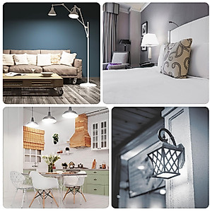 DAYBETTER 4 Pack LED Edison Bulbs, E26 LED Bulb 60W Equivalent, High Brightness 800 LM Daylight White 5000K, A19 LED Filament Light Bulbs, Clear Glass Style for Home, Non-Dimmable