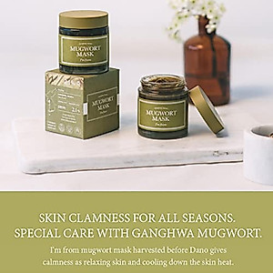 [I'M FROM] Mugwort Mask 3.88 fl oz | Natural Herb, Tea tree, Wash-off, Cooling and fast Soothing Breakouts, for Sensitive skin