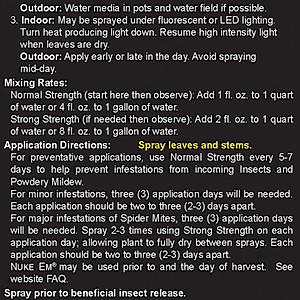 Flying Skull 8 Ounce Nuke Em