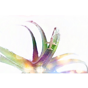 Helen de Lete Simple Style Airplane Fashion Bracelet