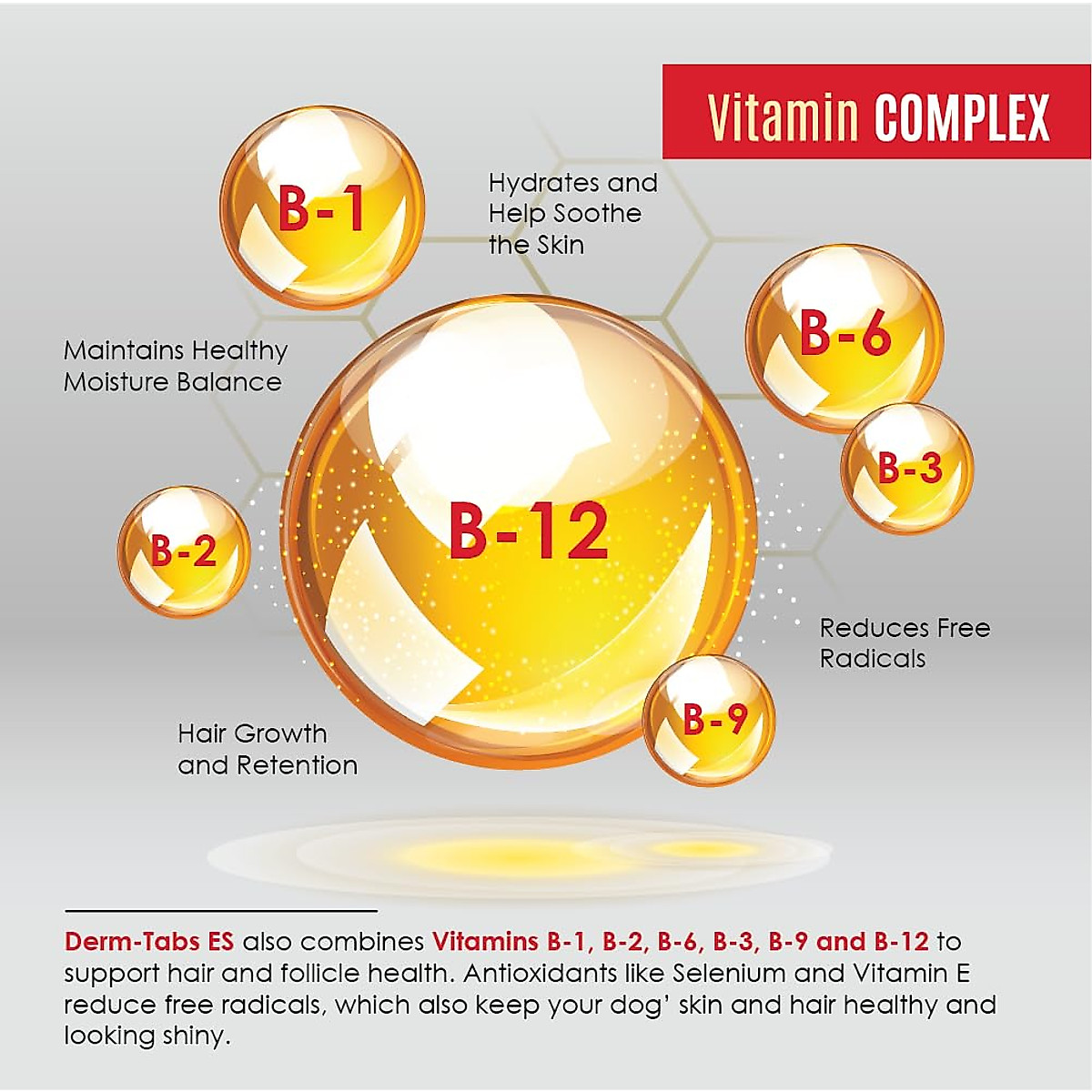 Pet Health Solutions Derm Tabs Extra Strength for Dogs - Natural Oil, Vitamins, Minerals, and Antioxidants - Support Healthy Skin and Reduce Shedding -60 Chewable Tablets