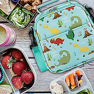 Flexzion Insulated Lunch Box for Kids Boys Dinosaur Lunch Box Girl Boy Toddler Daycare Lunch Bag for Kindergarten Pre School Hot and Cold Dino Lunch Case Kids Lunch Box with Water Bottle Holder