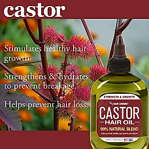 Hair Chemist Castor Oil 7.1 oz - Strengthening & Growth Stimulator for Hair Growth