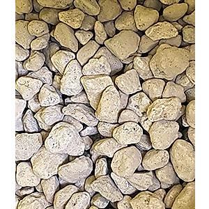 1 Quart Genuine Japanese Hyuga Pumice for Orchid & Bonsai Tree Soil Mix - Medium Grain 6 mm～12 mm