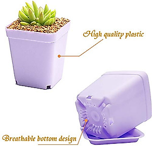 24 Pack Plastic Square Nursery Pots 3 Inch Plastic Plant Pots,Flower Pot with Tray Saucer for Indoor Outdoor Garden Office Decor