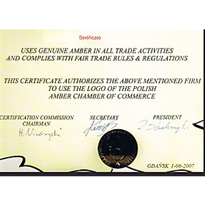 Ian and Valeri Co. Black Cherry Amber Sterling Silver Pendant Necklace 18 Inches