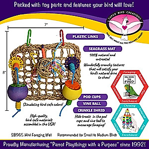 Super Bird Creations SB965 Mini Seagrass Foraging Wall Bird Toy, Small/Medium Bird Size, 8" x 7" x 4"