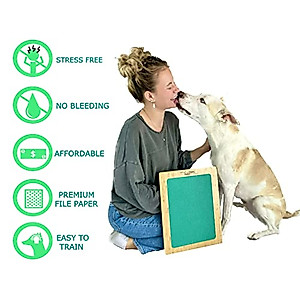 ZENLY PAWS Dog Scratch Board for Nails, Double Sided, File Paper Coarse and Fine Grit, Any Size Dog, Dog Nail File Board 16" x 12", Calming NailCare, Scratch Square for Dogs, Dog Scratch Pad For Nails