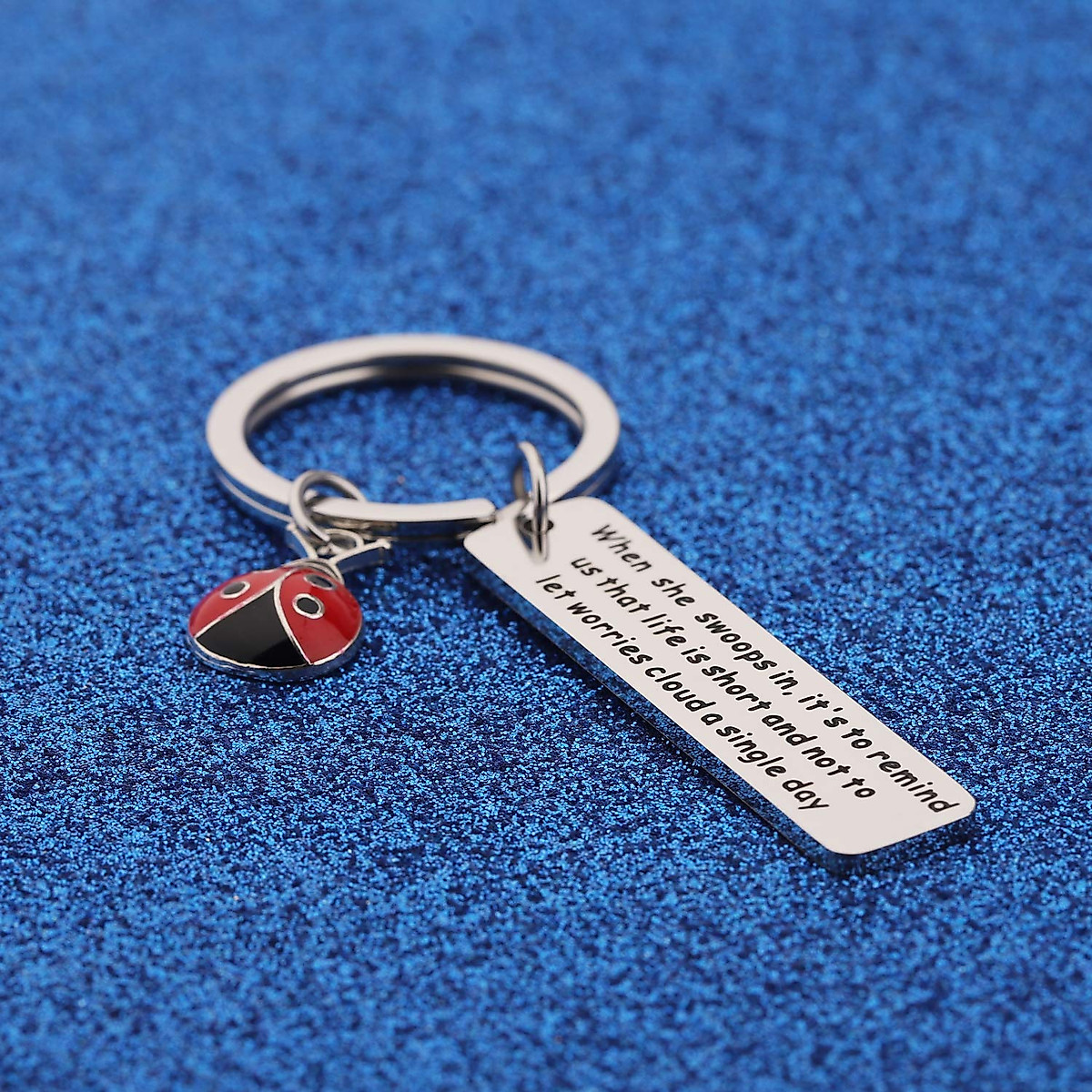 WUSUANED Good Luck Ladybug Keychain When She Swoops In It Remind Us Not Be Let Worries Cloud A Single Day Ladybug Lover Gift