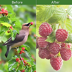 BILIENTE Garden Netting Fine Mesh(8ft x 33ft),Mosquito Netting, Garden Insect Screen Plant Covers for Protect Vegetable Plants Fruits Flowers Crops