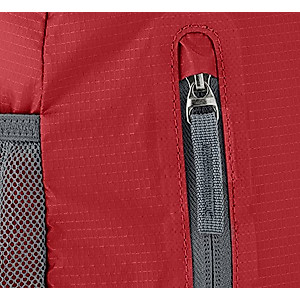 Amazon Basics Lightweight Packable Hiking Travel Day Pack Backpack - 17.5 x 17.5 x 11.5 Inches, 25 Liter, Red