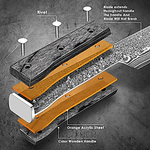 Damascus Chef Knife 8 Inch, Professional Japanese VG10 Damascus Steel Super Sharp Cooking Knife, G10 Ergonomic Color Wooden Handle with Luxury Gift Box