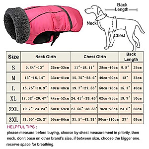 Doglay Dog Winter Coat with Thicken Furry Collar, Fleece Lining Reflective Warm Dog Jacket, Waterproof Adjustable Dog Clothes for Cold Weather, Soft Puppy Vest Apparel for Small Medium Large Dogs