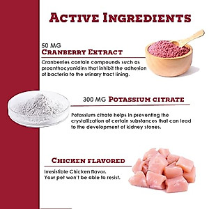 K-Plus Potassium Citrate Plus Cranberry Granules for Dogs and Cats - Veterinarian Approved UTI Remedy Granules - Supports Bladder Health - 60 Doses