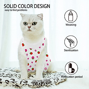 Cat Professional Surgical Recovery Suit,E-Collar Alternative for Cats Dogs,After Surgery Wear, Pajama Suit,Home Indoor Pets Clothing Strawberry XL