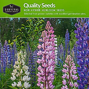 Survival Garden Seeds Perennial Flowers Collection - Shasta Daisy, Echinacea, Russell Lupine, Rose Mallow, Blue Sage, and Perennial Wildflower Mix - Non-GMO Heirloom Seeds for Planting and Growing