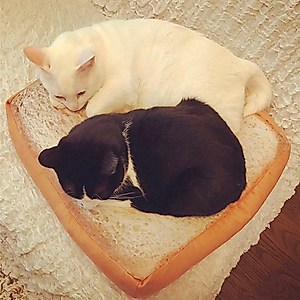 Dofover Soft Cat Cushion Bed Bread Pet Mattress Bed Toast Mats Bedding Pad for Small Medium Dogs & Cats,Sleeping Resting Playing Reading Pillow (15.7''x15.7''x2.6'')