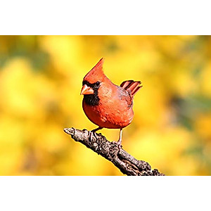 Valley Farms Sunflower Hearts Wild Bird Food - 15 lbs