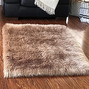 LAMBZY '' Lena Collection '' Faux Sheepskin | Super Soft Hypoallergenic Rectangular Area Rug | Plush Fur Premium Shag (2'x3',60x90 cm, Camel)