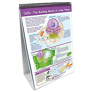 NewPath Learning 10 Piece Mastering Middle School Life Science Curriculum Mastery Flip Chart Set, Grade 5-9 Multi, 12 L X 18 W in